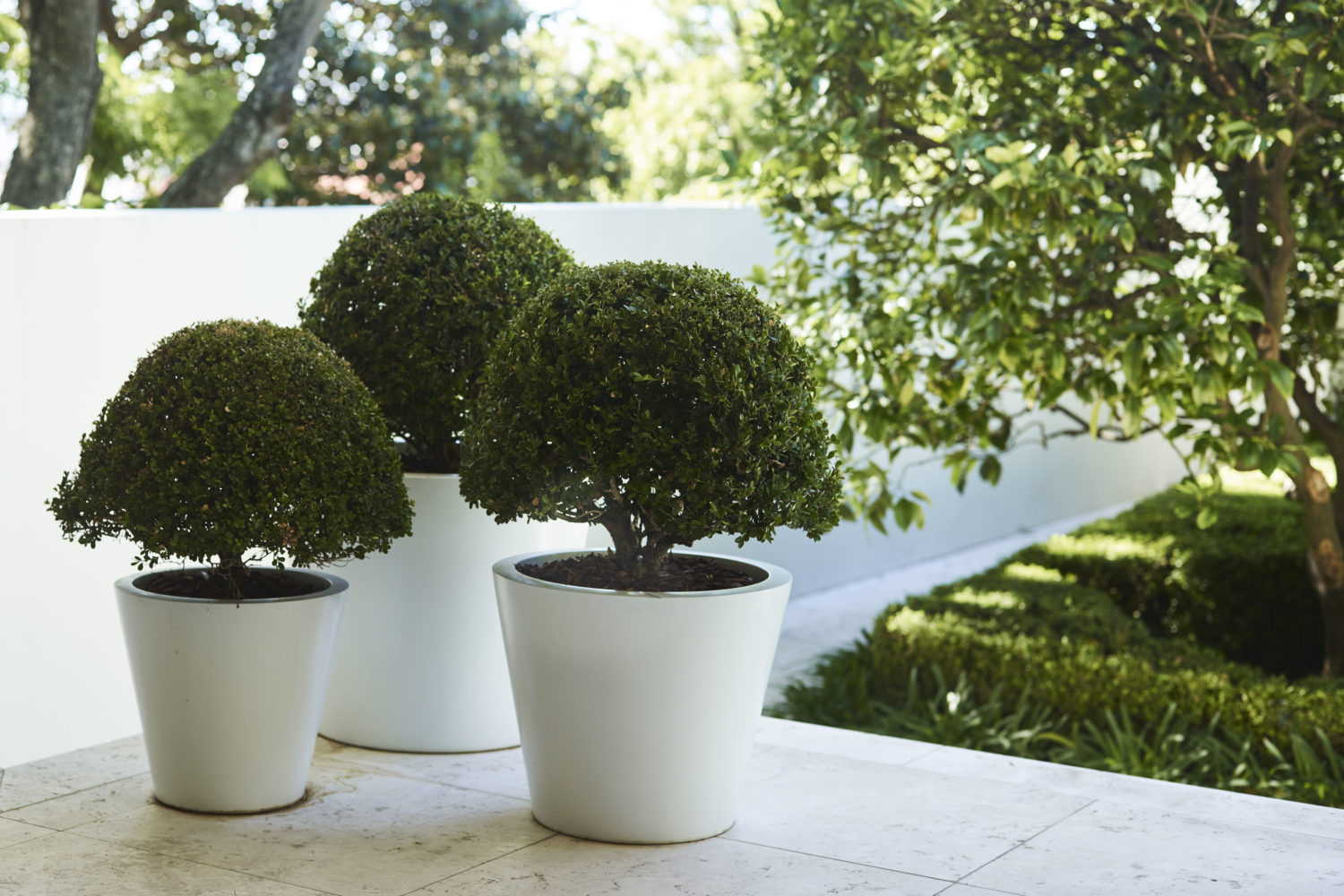 Inspirational Garden Landscape Ideas | Think Outside Gardens