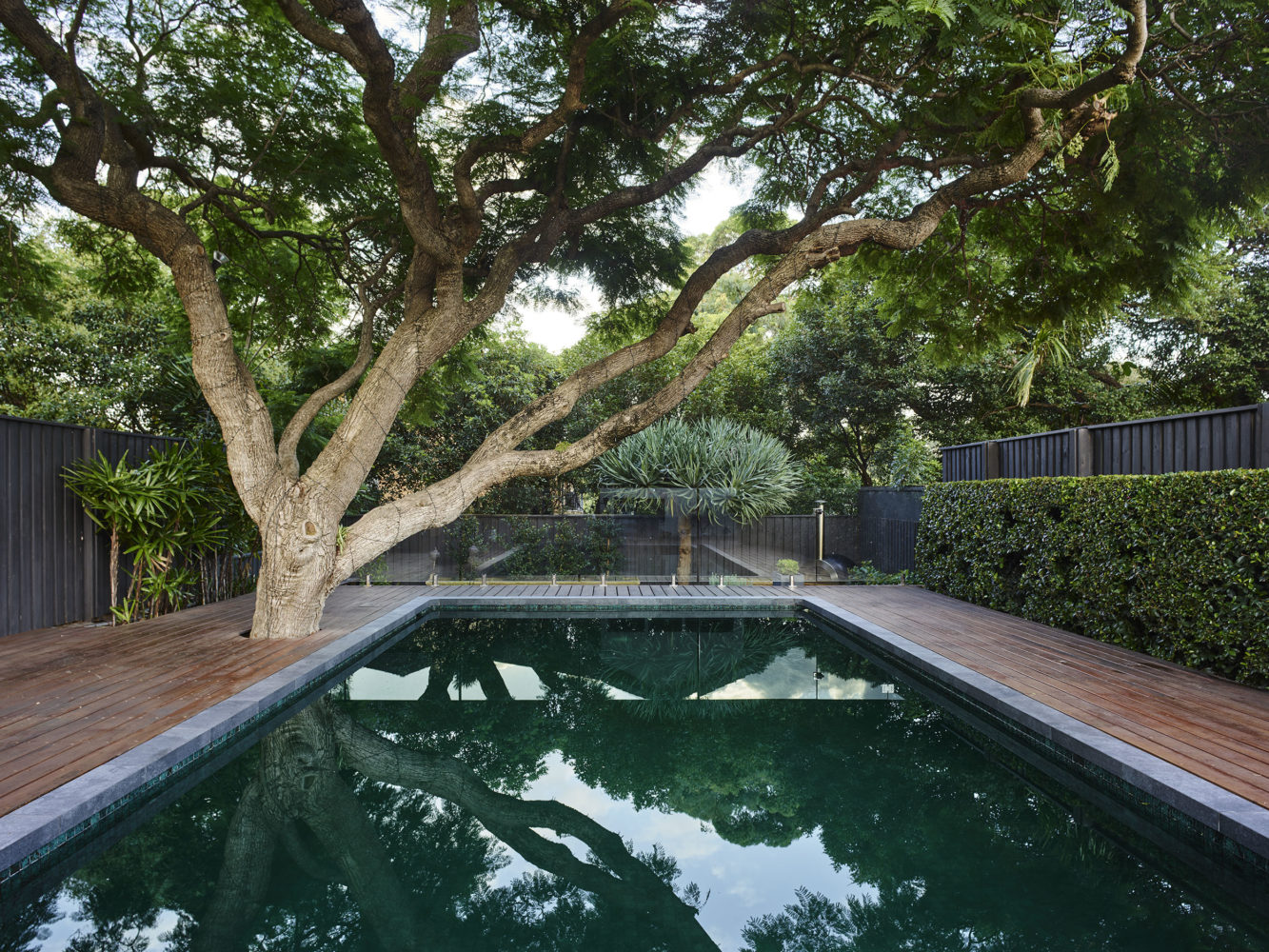Landscape Garden Design in Cammeray | Think Outside Gardens