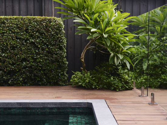 Landscape Garden Design in Cammeray | Think Outside Gardens