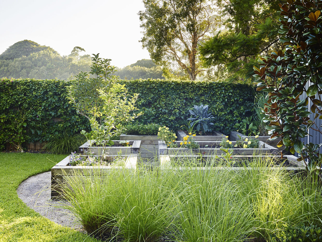 Landscape Garden Design in Earlwood | Think Outside Gardens