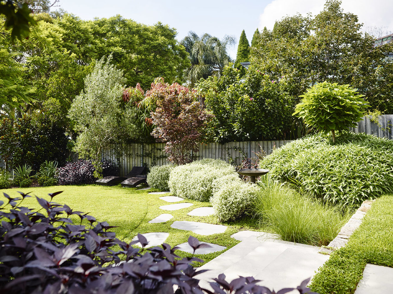 Landscape Garden Design in Earlwood | Think Outside Gardens